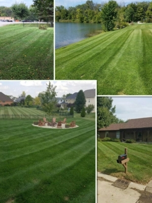 Indianapolis Landscaping Services | Lawn Care in Indianapolis